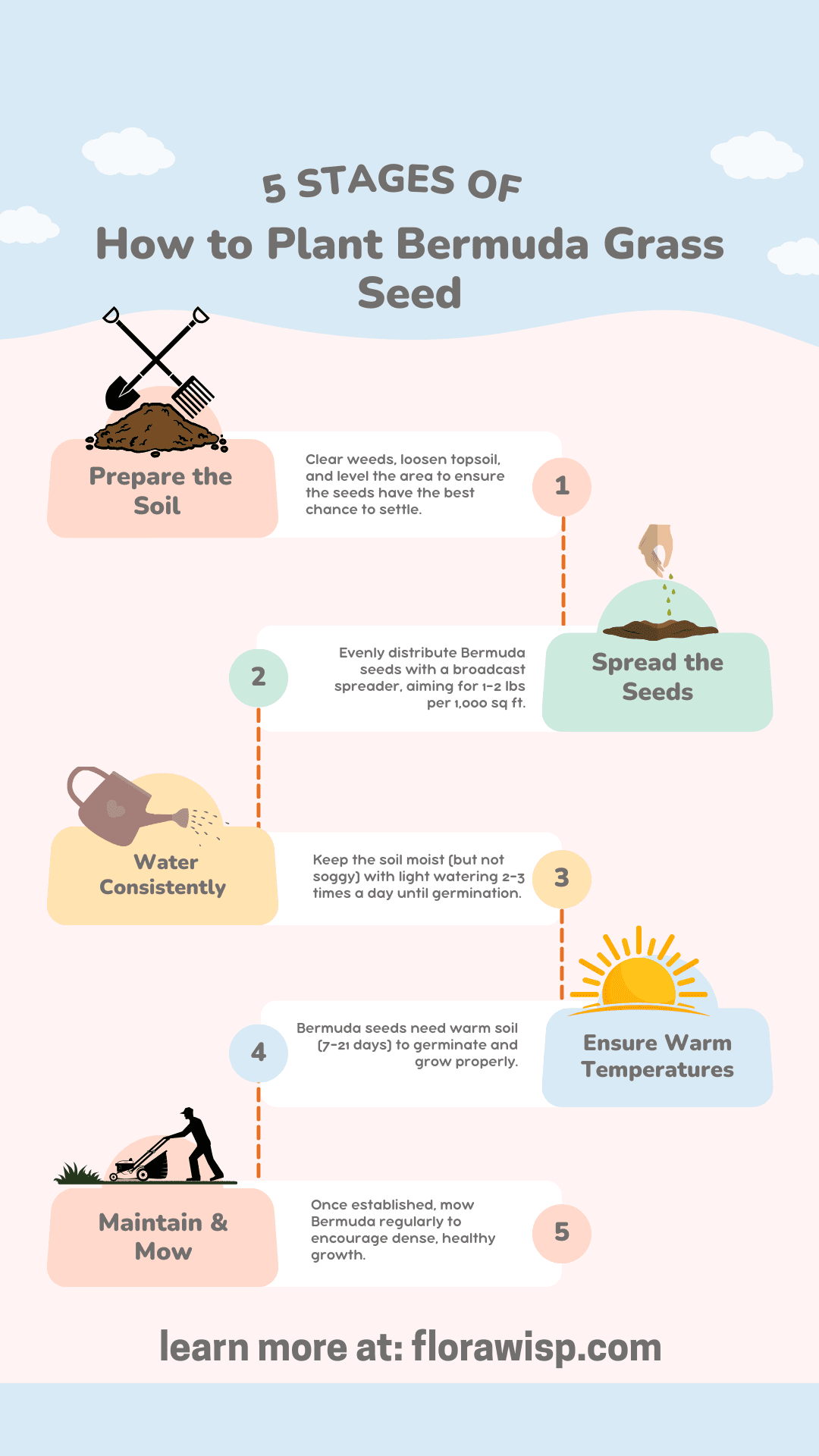 How to Plant Bermuda Grass Seed: 9 Secrets for a Thick, Green Lawn Fast